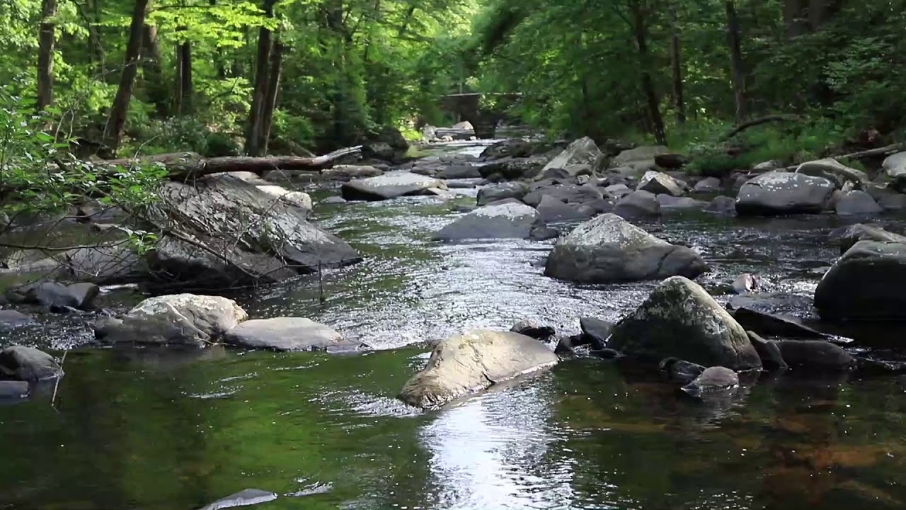 Photography Adventures - Ten Mile River Summer 2019 - YouTube