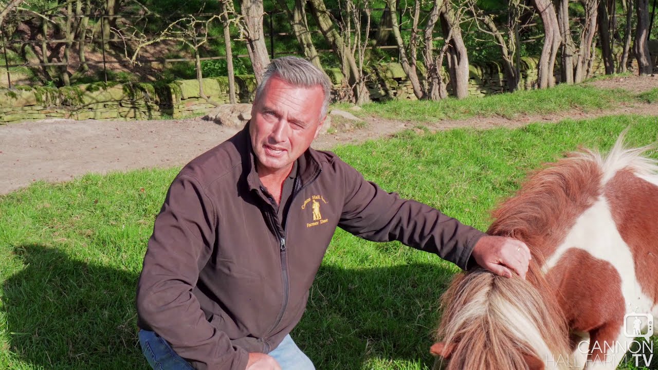 Jon Bon Pony's comeback tour! - YouTube