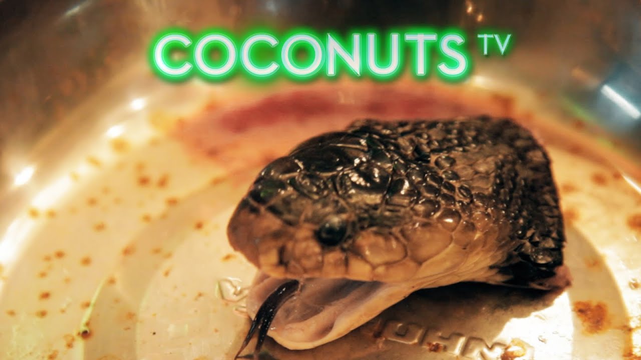 Freaky Feasts | The Saigon Snake Experience | Coconuts TV - YouTube