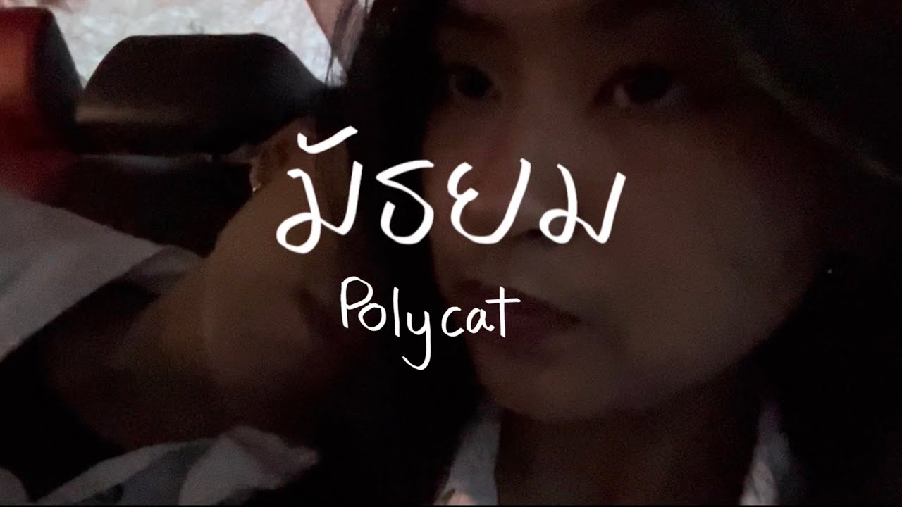 มัธยม Polycat | unofficial music video - YouTube