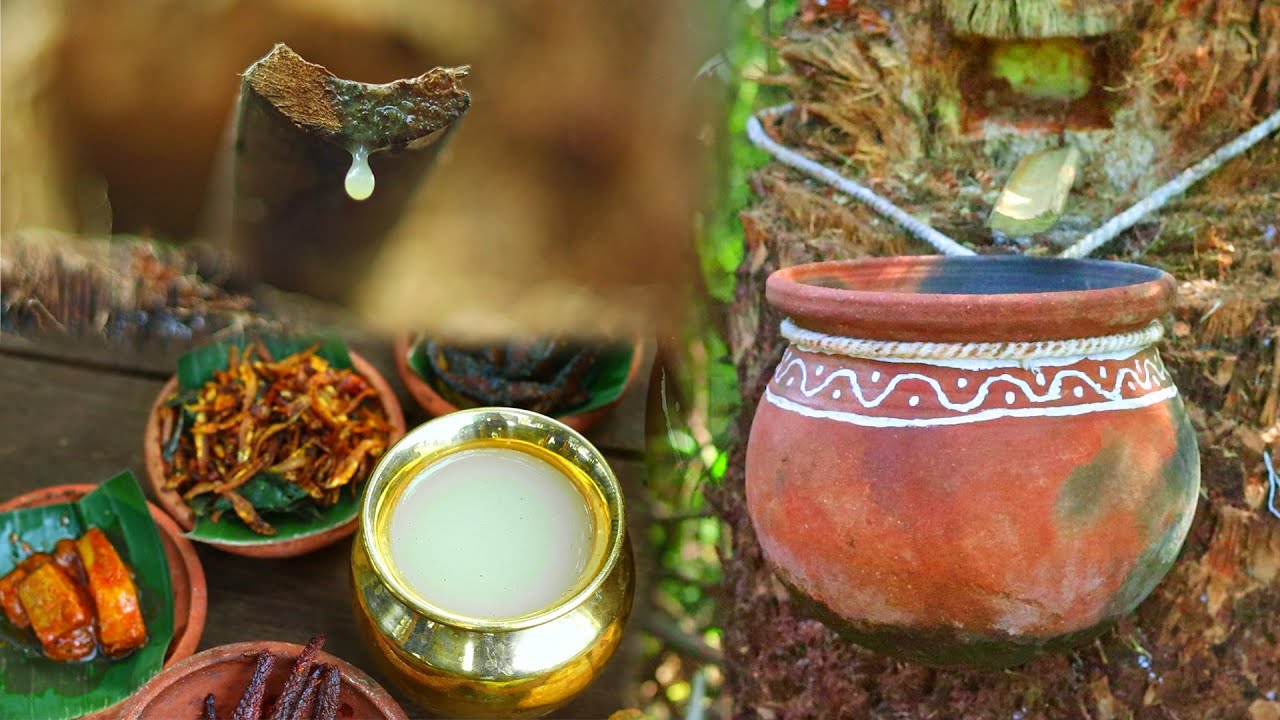 The Secrets of an Ancient, Rare Drink: Palm Wine | Kootan Soru - YouTube