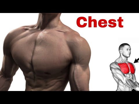Explode your chest muscle with these amazing exercises - YouTube