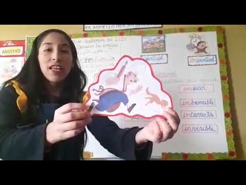 PREFIJOS I-, IN-, IM- PRIMER GRADO - YouTube