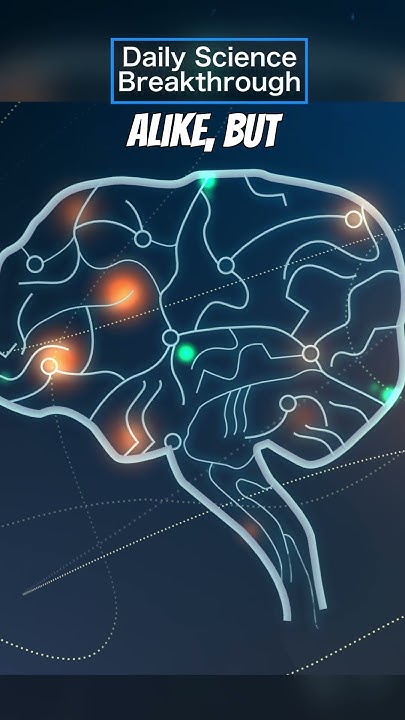 Reading the Brain #science #brain #biology - YouTube