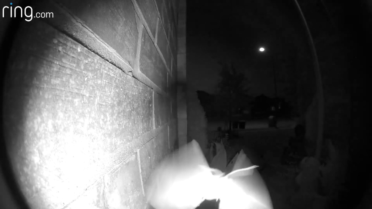Caught on ring doorbell camera #ring #ringdoorbell - YouTube