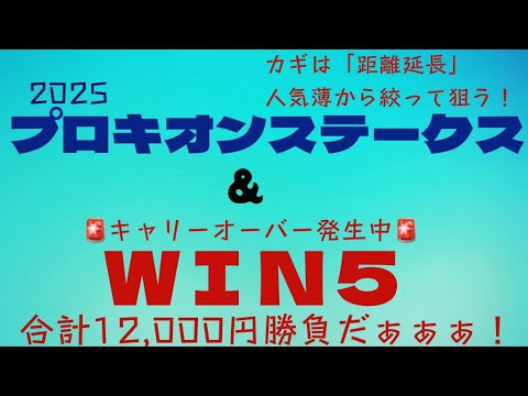 プロキオンステークス2025 & WIN5 穴馬から狙うプロキオンとCO発生中のWIN5を狙い撃つ！ - YouTube