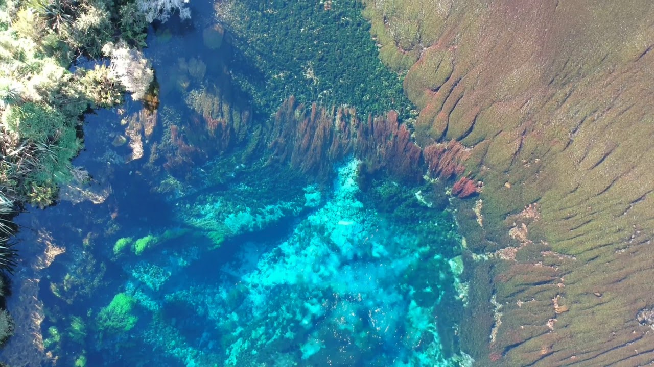 The clearest spring water in the world @ Te Waikoropupu Springs, New ...