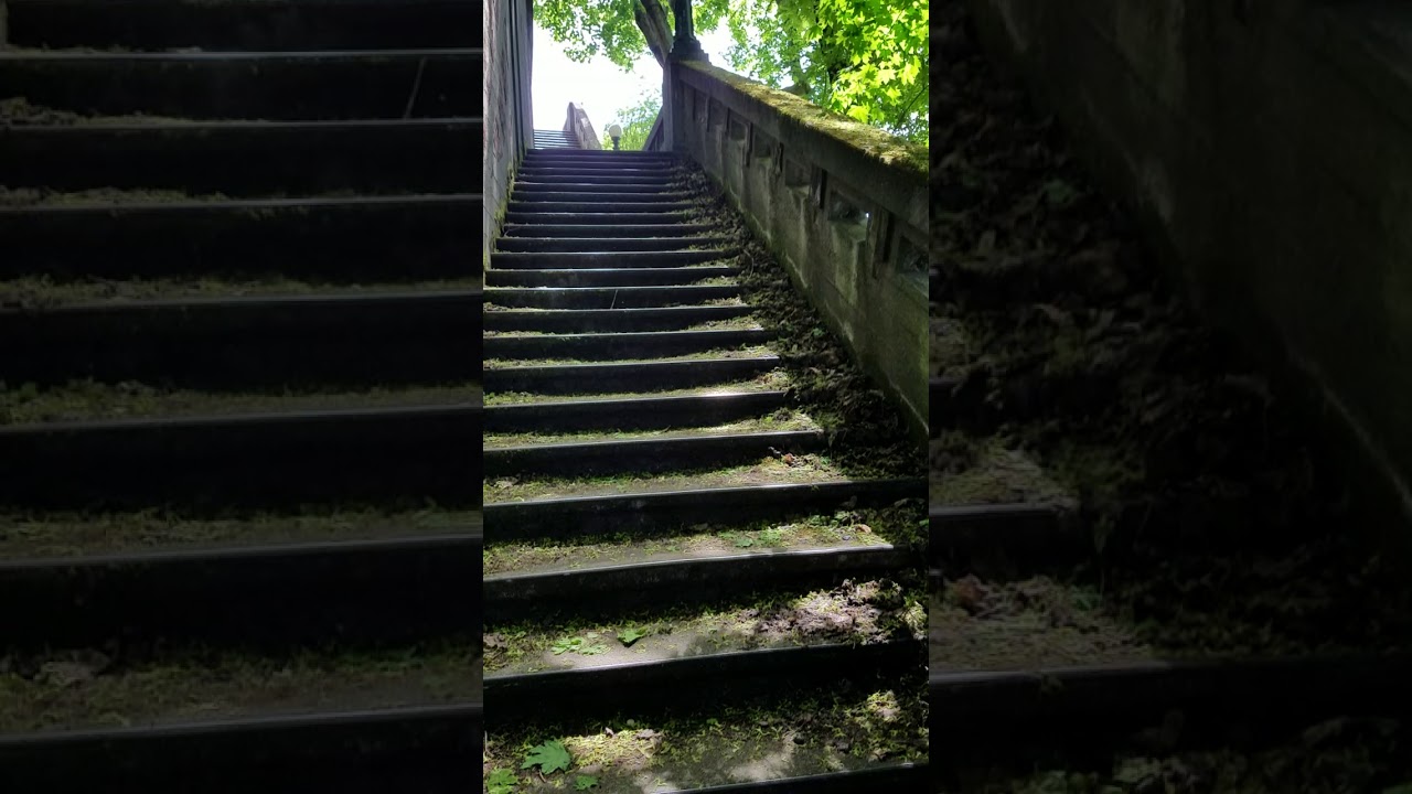 Stair Climb Wilcox Wall Seattle - YouTube
