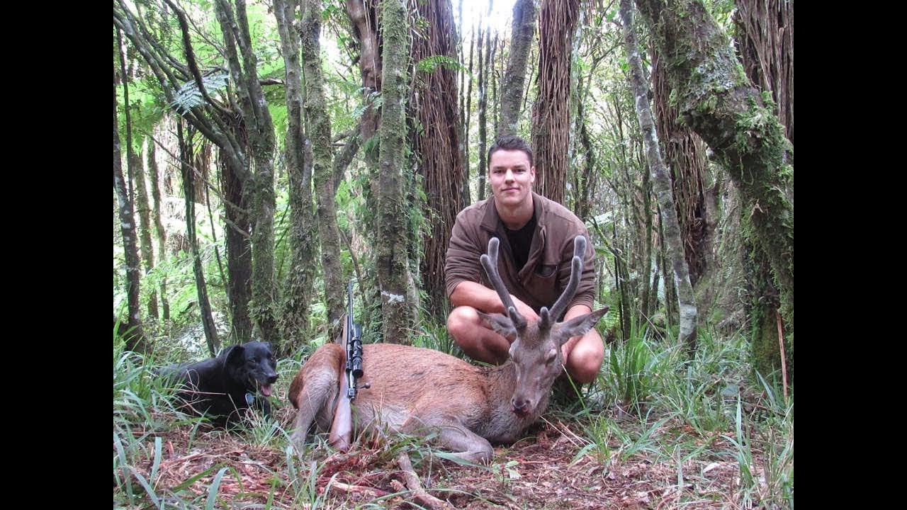 Ruahine Summer Stag Bush Hunt January 2018 - YouTube