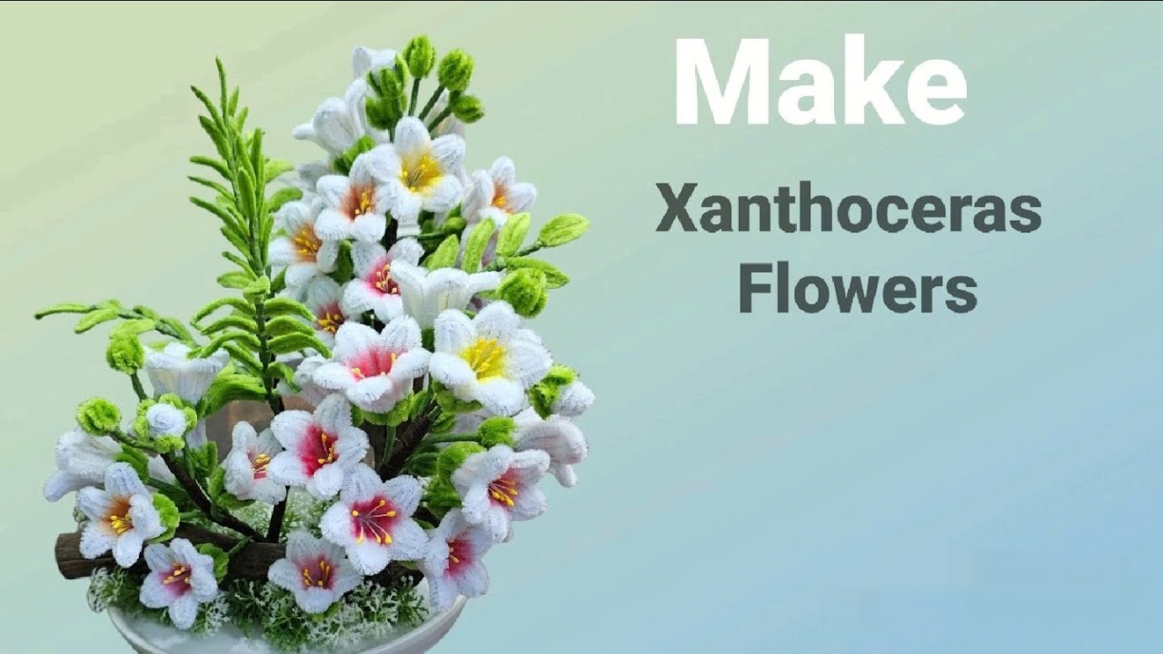 DIY | Make Xanthoceras flower with velvet zinc | Làm hoa Xanthoceras ...