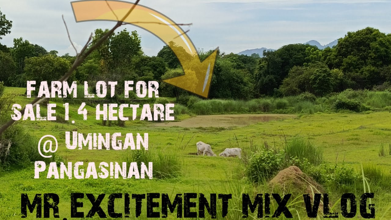 V#61 1.4 hectares lot area, good for residential farm or resthouse farm ...