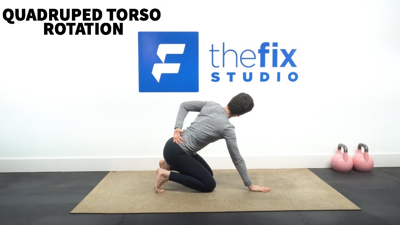 Quadruped Torso Rotation - YouTube