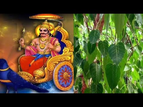Jai Shree Shani Dev ! - YouTube