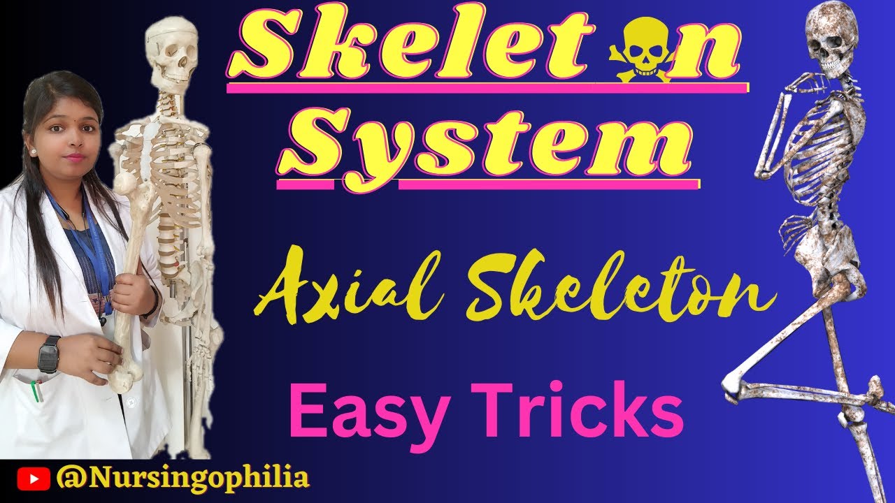 Axial Skeletal system || Skeleton System || Easy tips and tricks to ...