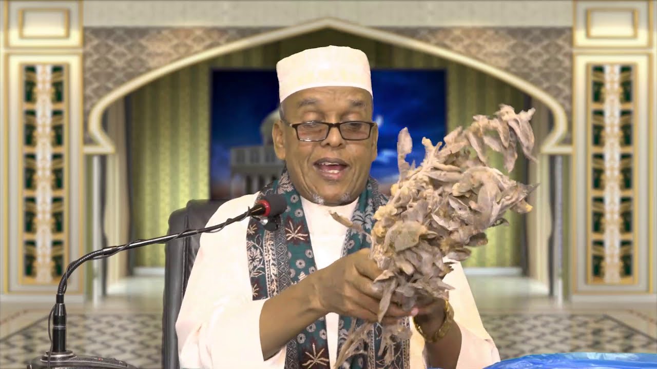 Sh.Maxamed Sh.Ismaaciil Oo Soo Bandhigay Geed Uu Sheegay In Nooc Ka Mid ...