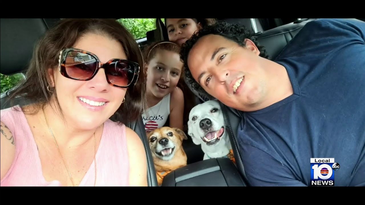 Animal rescue in Key West cares for Cuban migrants’ dogs after they ...