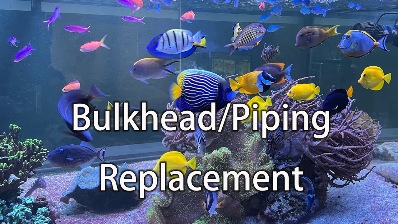 Bulkhead and Return Pipe Fixed - YouTube