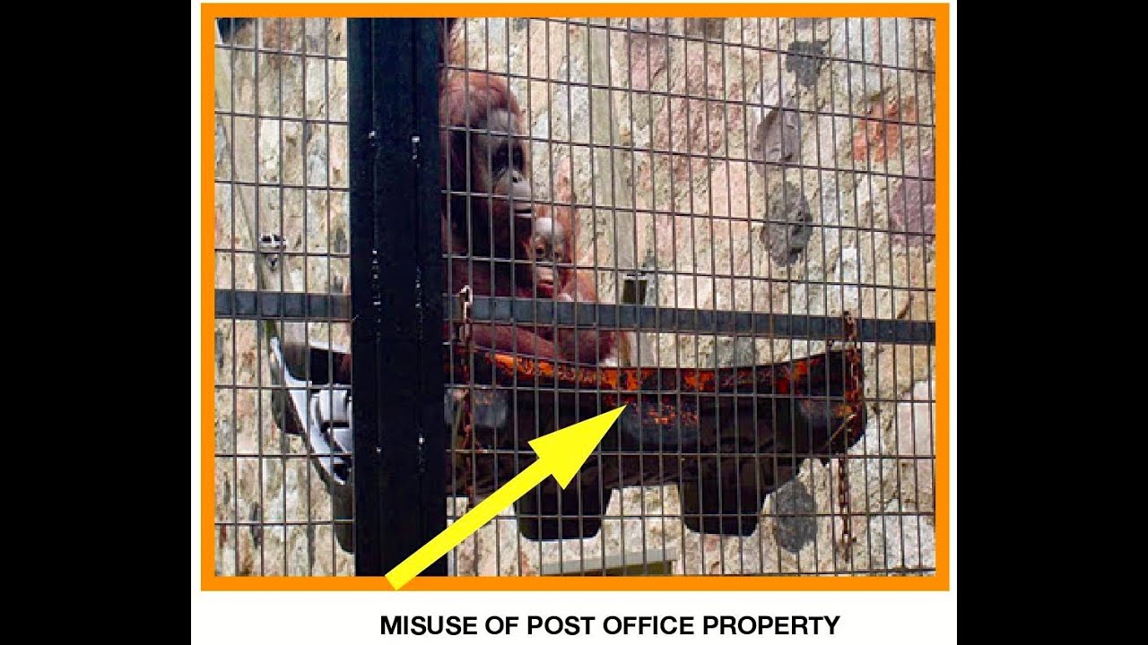 USPS APPOINTED ROUNDS - YouTube