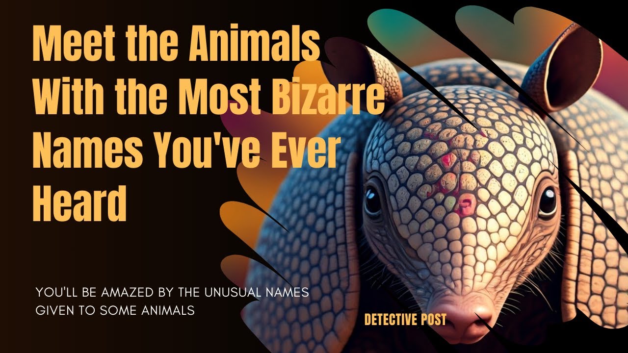 The Weirdest Animal Names and Their Stories - YouTube