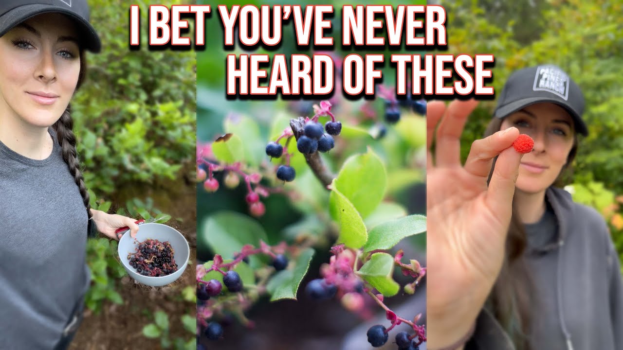 COOKING with FORAGED FOOD from OUR LAND! - Foraging On The Oregon Coast ...