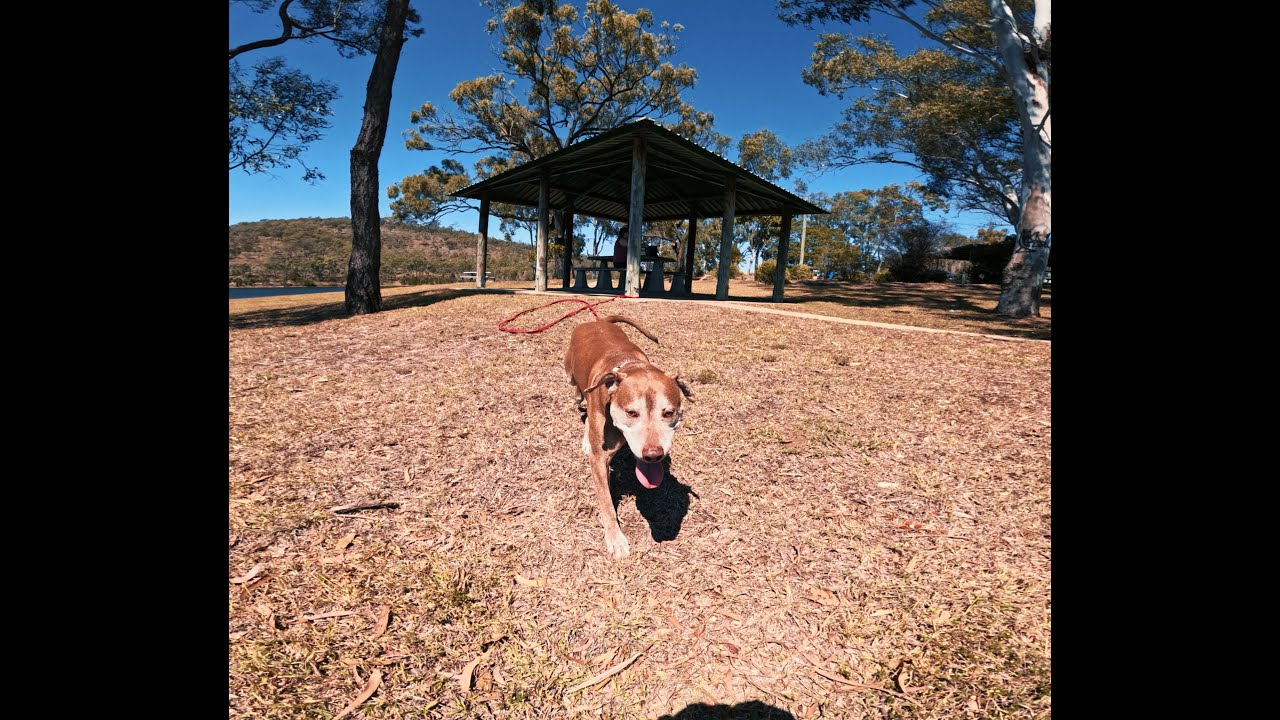 Mount Morgan Dam (Digger's day at the Dam) - YouTube