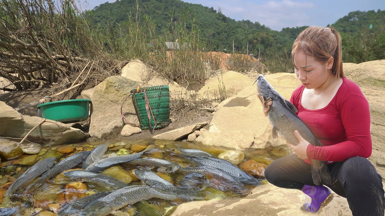 Fishing With Extraordinary Techniques / Fishing With Primitive Methods ...