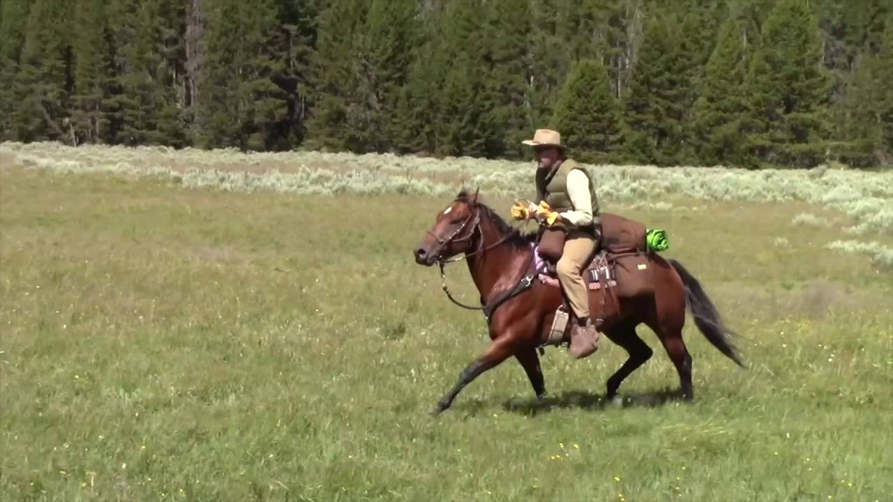 Yellowstone Pack trip 2016 - YouTube