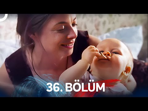 Hayati Tehlike | Kobra Takibi 36. Bölüm | Türkçe Dublaj