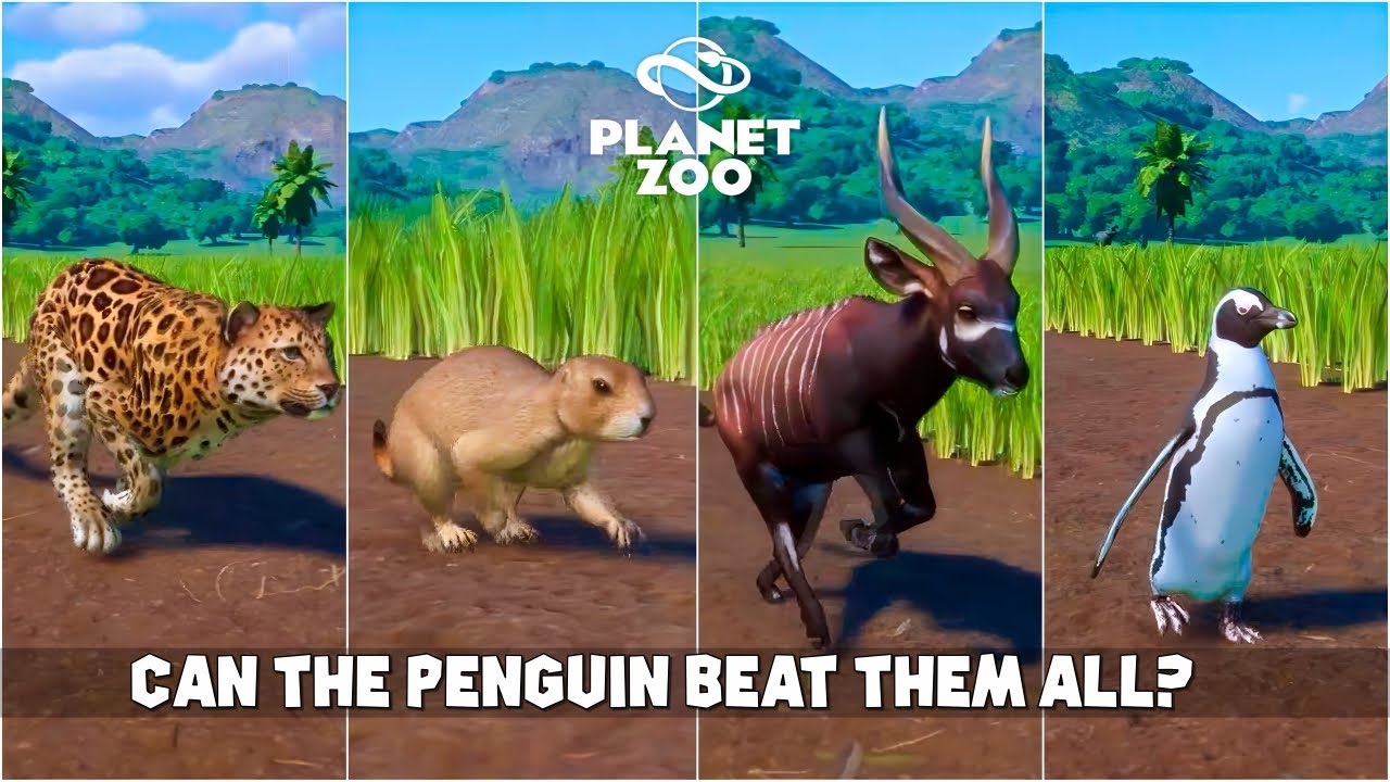Planet Zoo Animals Race | African Penguin, Bongo, Springbok, Amur ...