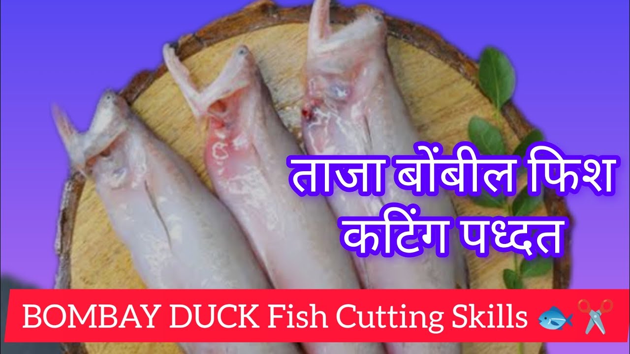 Bombay Duck Fish Cutting Skills 🐟 ️🎣 || बोंबील फिश कटिंग पध्दत || # ...