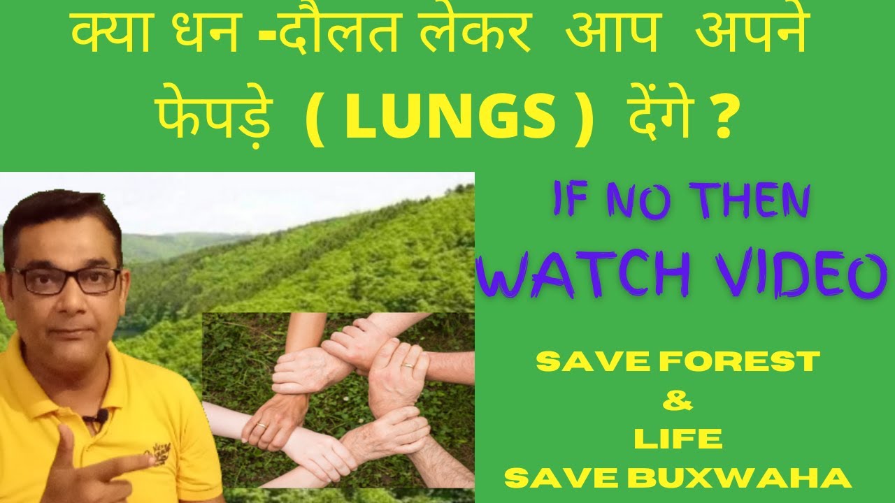 Buxwaha Forest | Save Buxwaha | Save Forest | Save India - YouTube