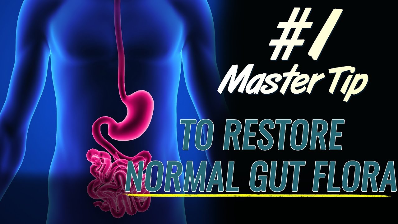 The #1 Master Tip to Help Restoring a Normal Gut Flora - YouTube