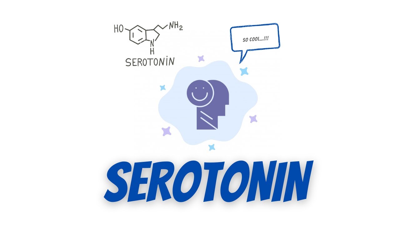 Serotonin: what is it & How does it works? - YouTube