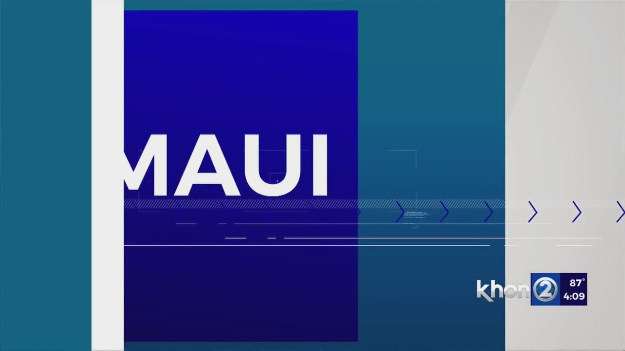 Manta ray chosen as new school mascot - YouTube