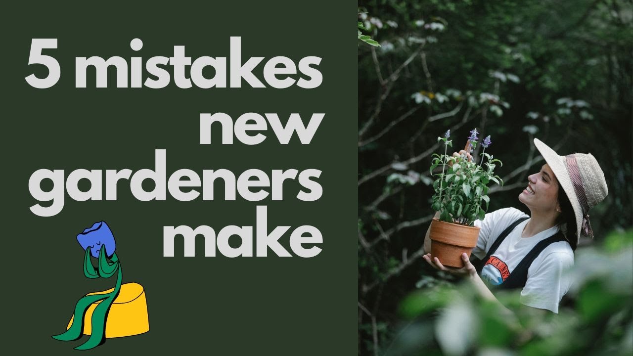5 Mistakes New Gardeners Make - YouTube