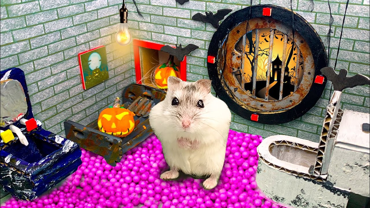 🎃 HAMSTER ESCAPE HALLOWEEN: Awesome Maze for Pets in real life 🐹 in ...