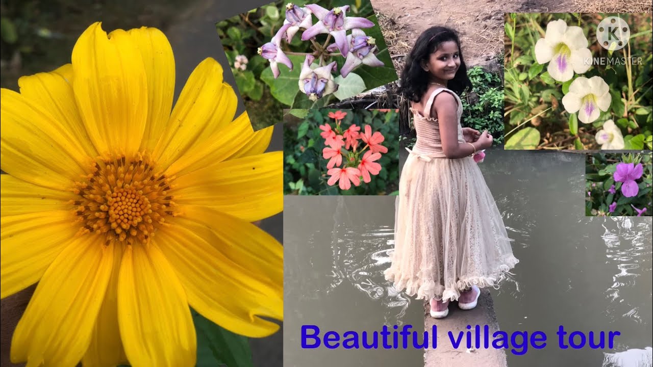 Village tour and chepala cheruvu - YouTube
