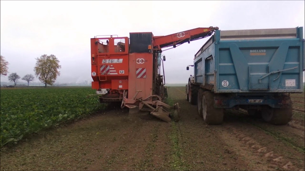 Matrot M41H à l'arrachage de betterave dans la marne - YouTube