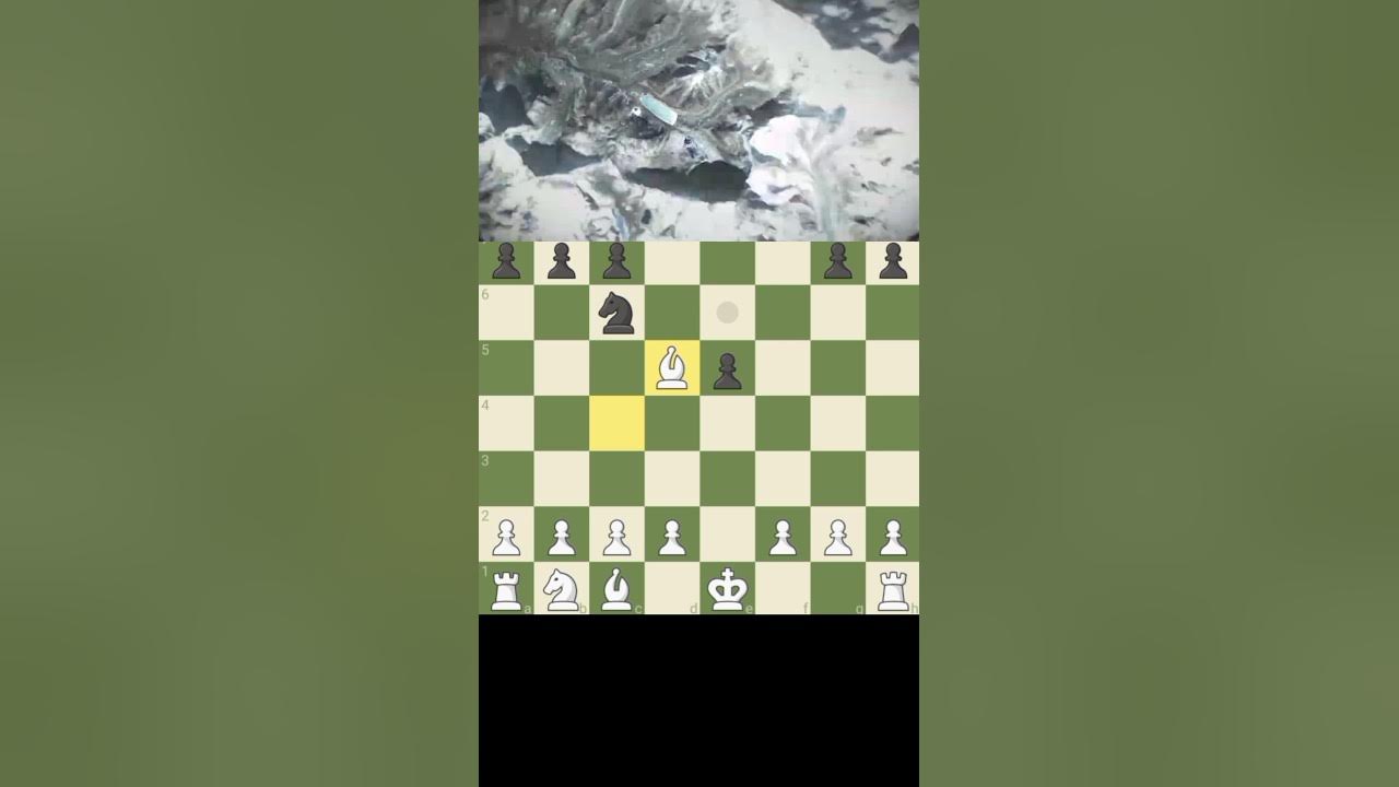 How Do I Made An Illegal Move In Chess shorts memes YouTube how-do-i-made-an-illegal-move-in-chess-shorts-memes-youtube