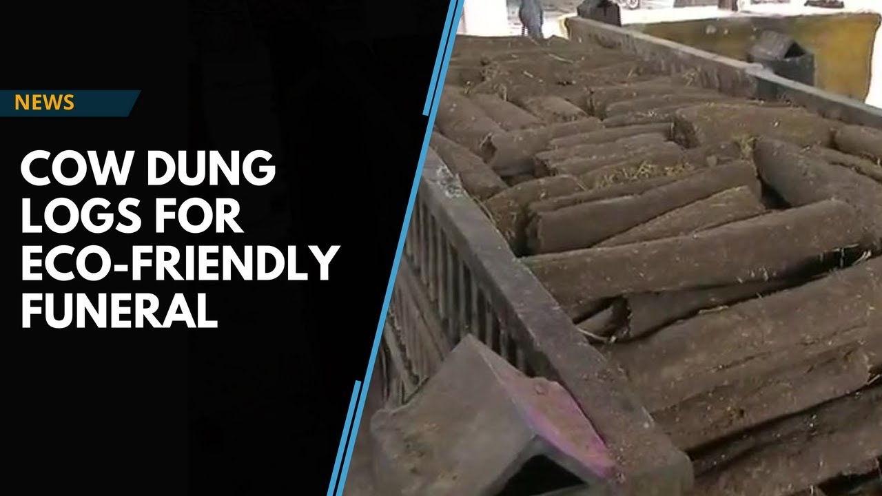 Raipur makes cow dung logs for eco-friendly funeral - YouTube
