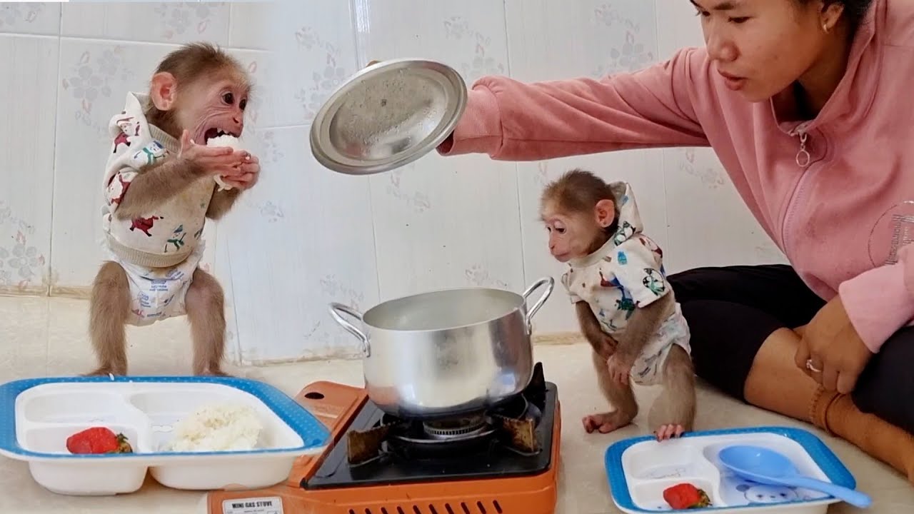 Master Chef beeboy professionally In Limit Timing For Cooking Rice ...