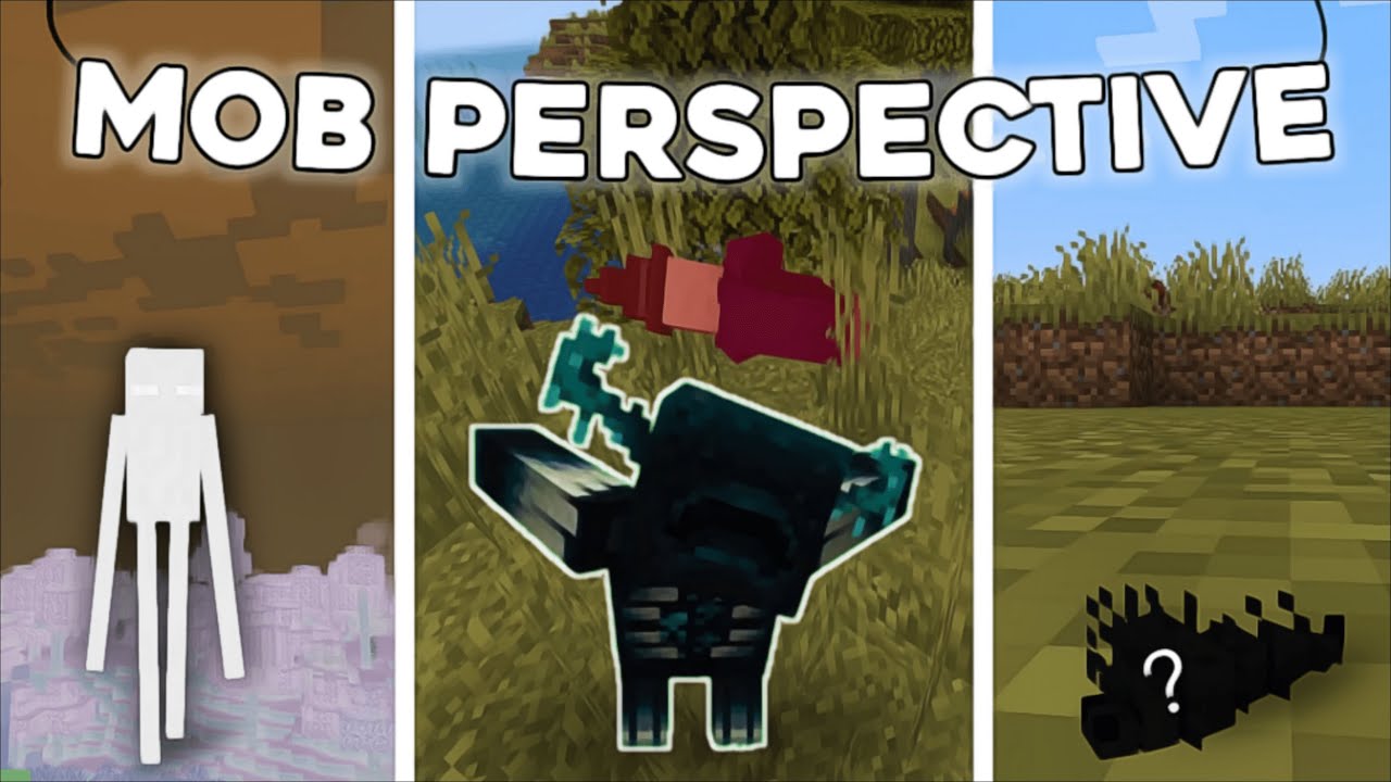 POV Of Every MOB In Minecraft - YouTube