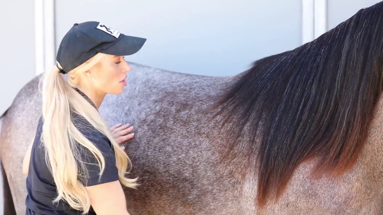 Recommended Knotty Horse Regimen - YouTube