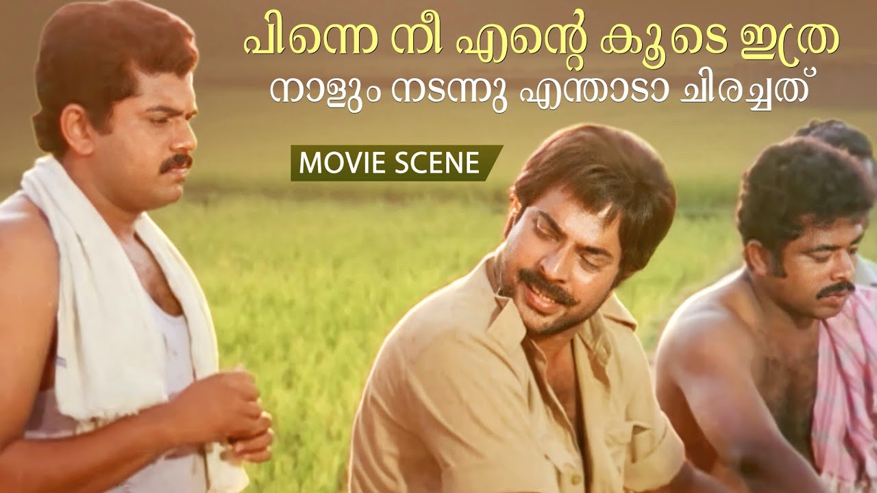 പിന്നെ നീ എന്റെ കൂടെ ഇത്ര നാളും നടന്നു എന്താടാ ചിരച്ചത് | Mammootty ...