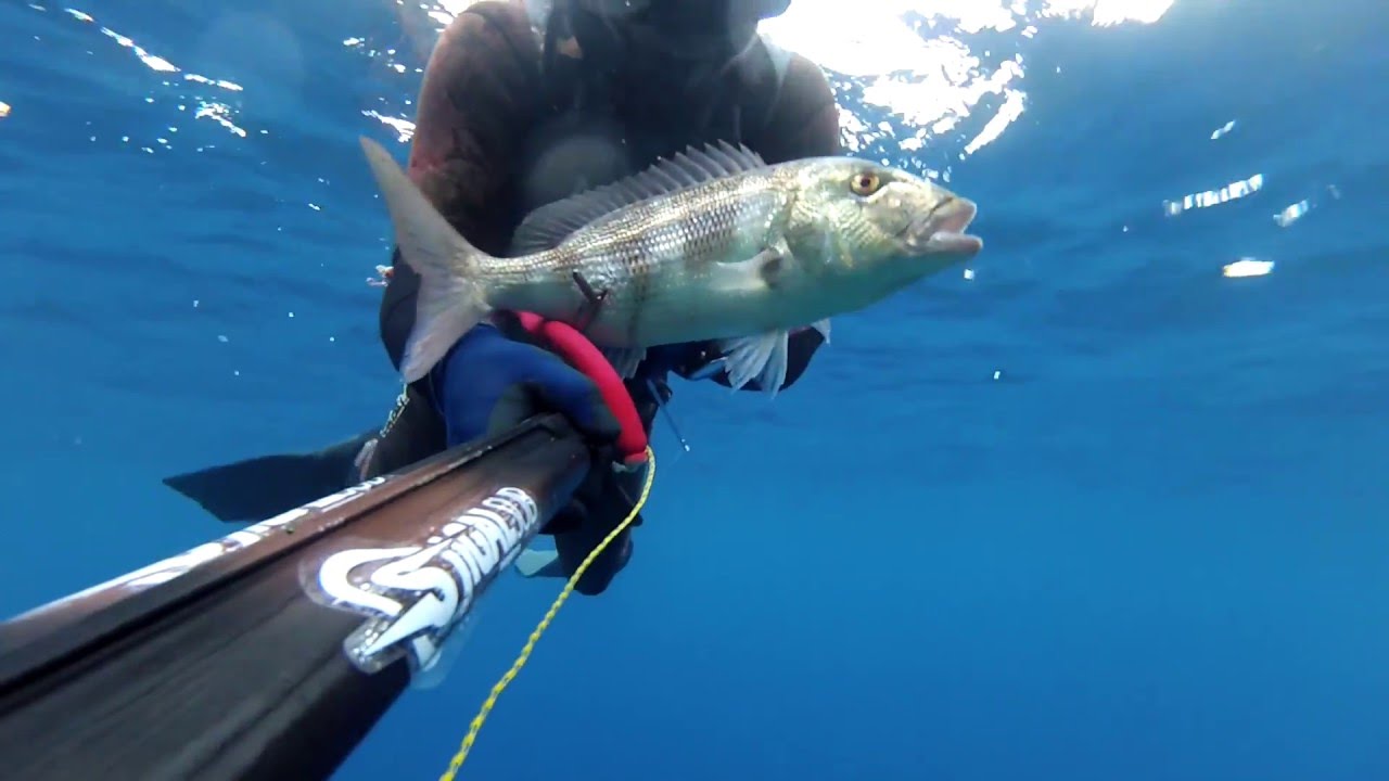 Winter spearfishing 2016 vol.1 - YouTube