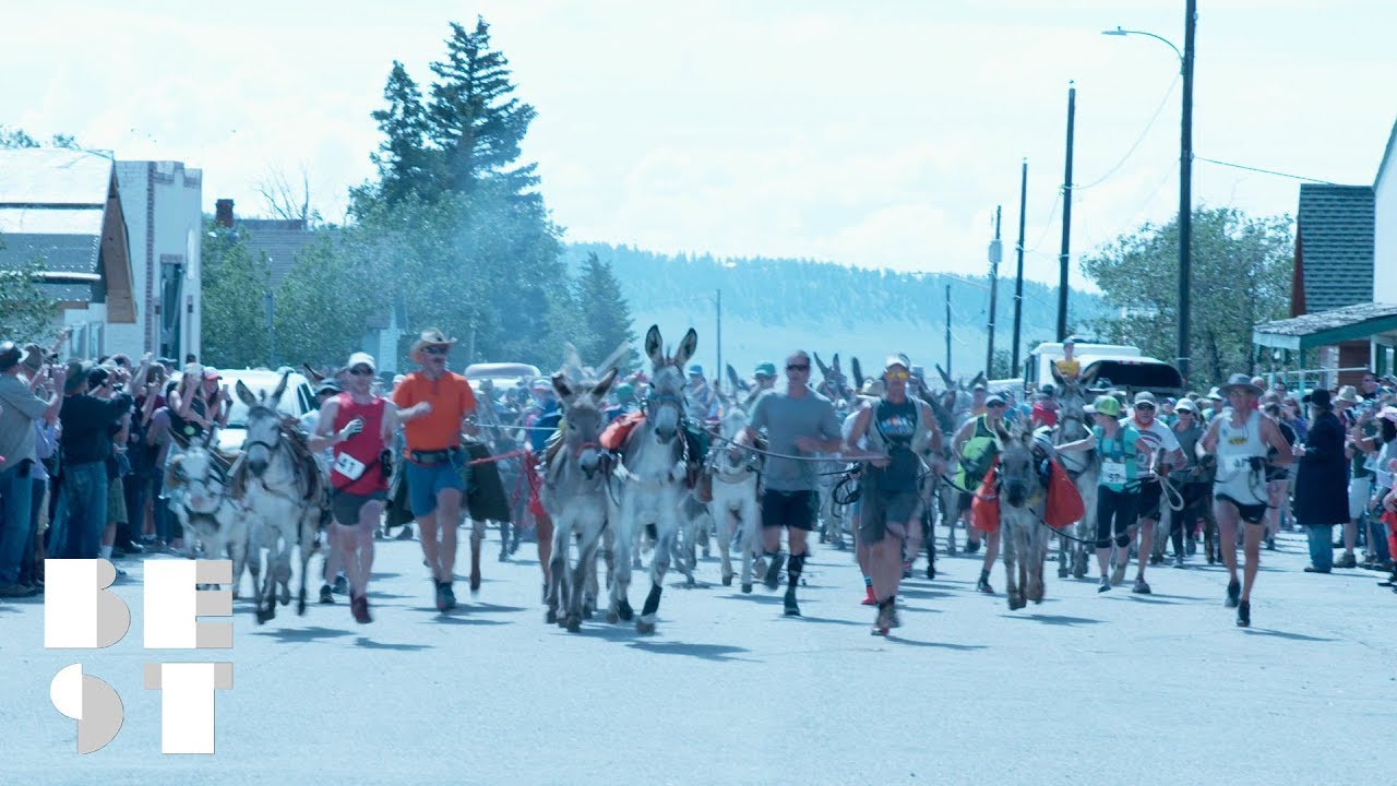 Burro Racing in Colorado is the Craziest Tradition We've Ever Seen ...