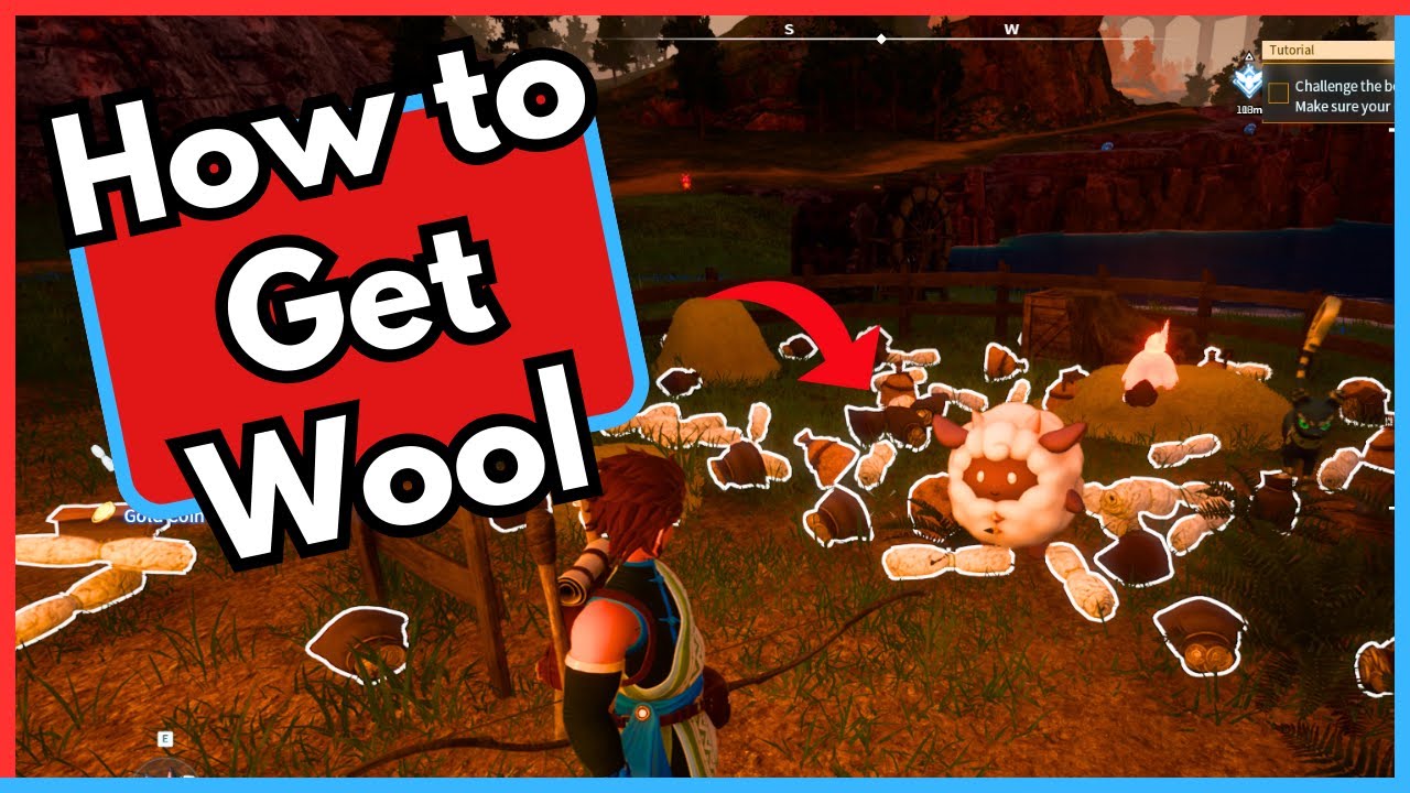 How to Get Wool in Palworld - YouTube