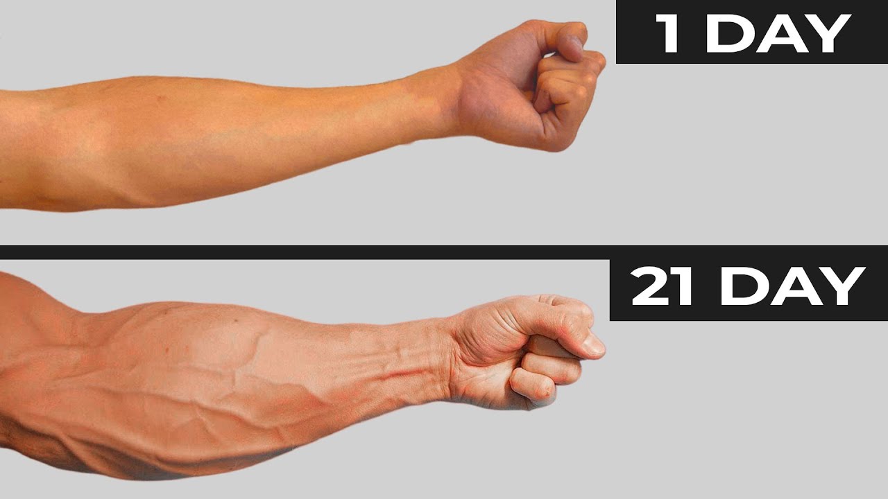 HUGE Forearms In 21 Days At Home | Workout Without Equipment - YouTube
