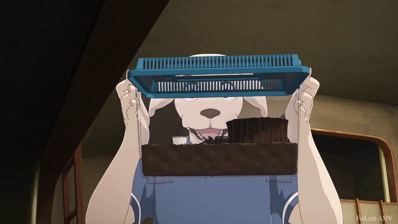 Beastars「AMV」- Legoshi vs The Boss Lion ᴴᴰ - YouTube