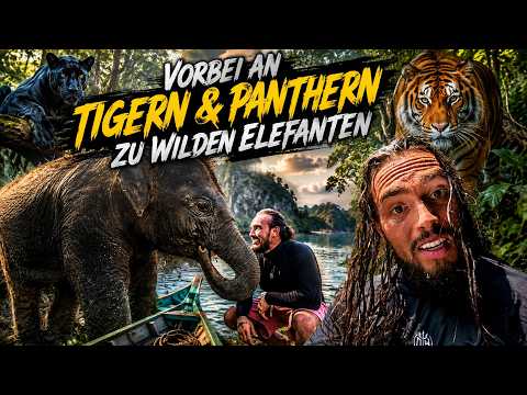 VORBEI AN PANTHERN ZU WILDEN ELEFANTEN